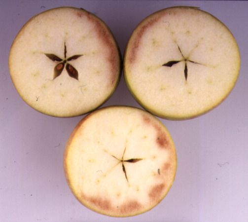 Disorders of the flesh | NIAB